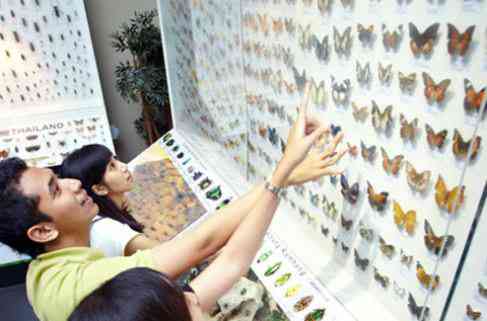 Jatim Park 2 - Museum Satwa - atraksi - ERC TRANS