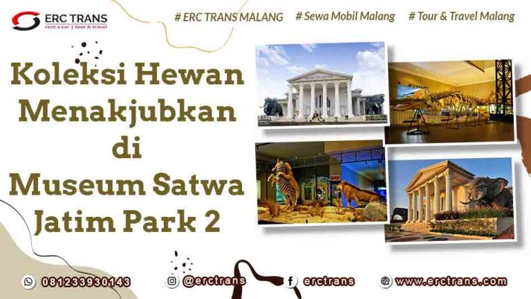 Museum Satwa Jatim Park 2 | Wahana, Harga Tiket, Lokasi