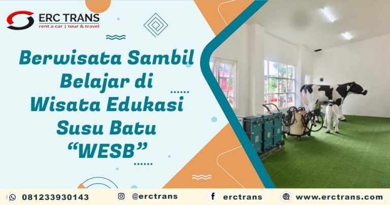 Wisata Edukasi Susu Batu: Jelajahi Dunia Susu & Olahannya
